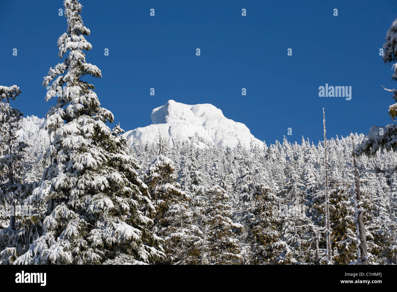 Mt.Cain on Vancouver Island Stock Photo - Alamy