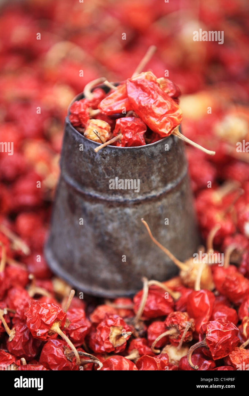 Spices and seeds on the market in Kathmandu Nepal Himalaya Stock Photo ...