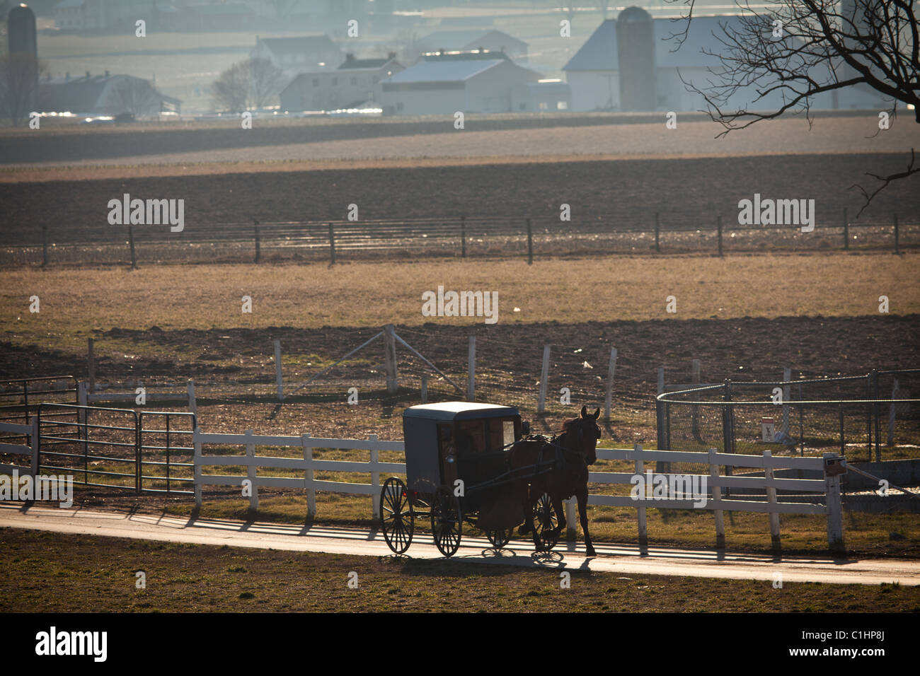 Mennonite horse and buggy hi-res stock photography and images - Alamy