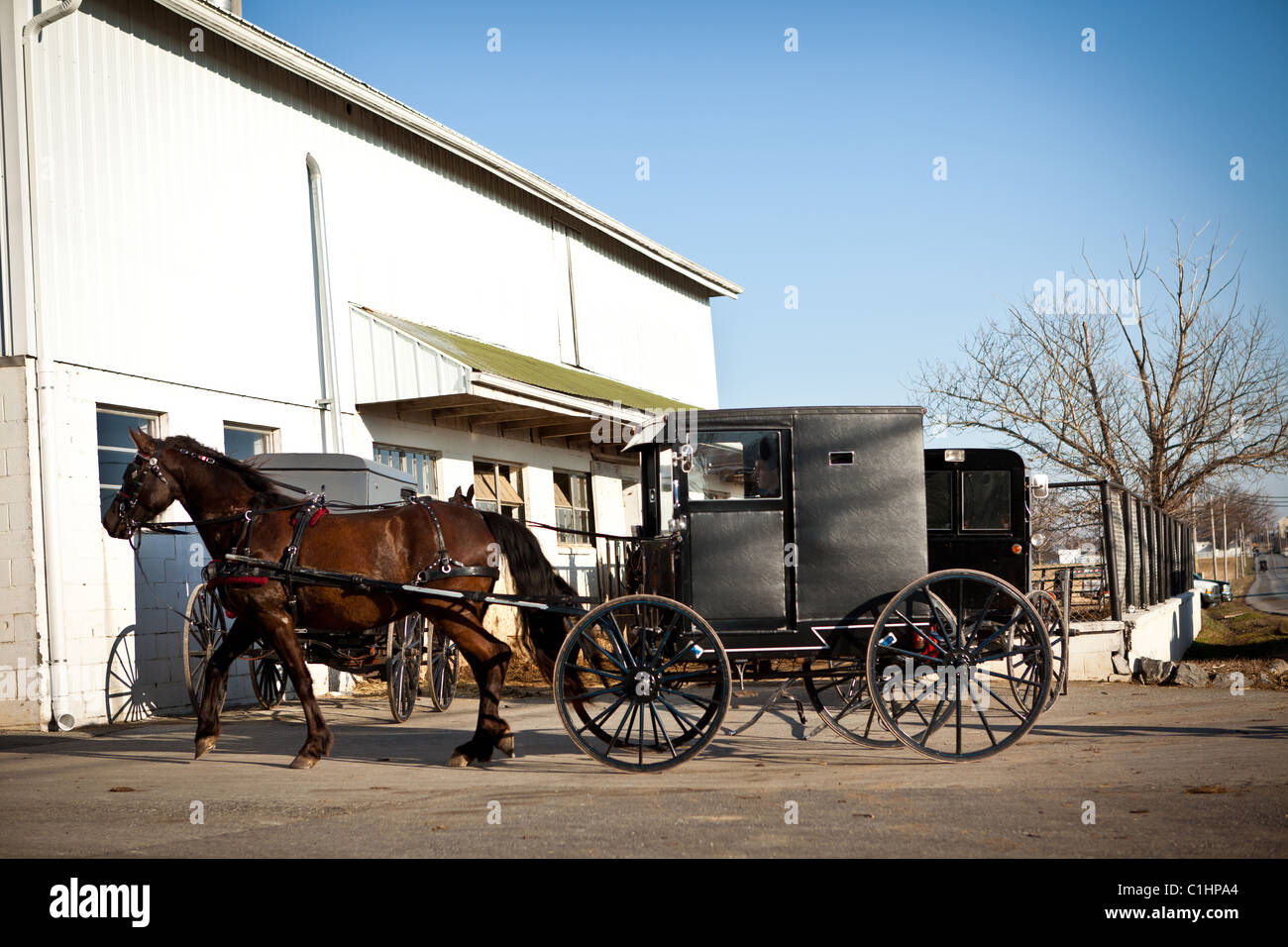 Traditional amish buggy hi-res stock photography and images - Alamy