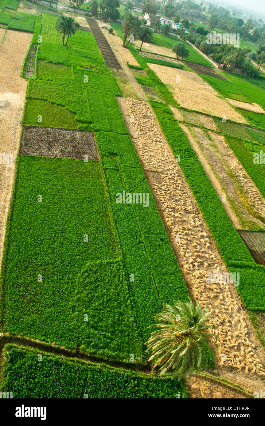 Aerial view of Luxor, Egypt from a hot air balloon Stock Photo - Alamy