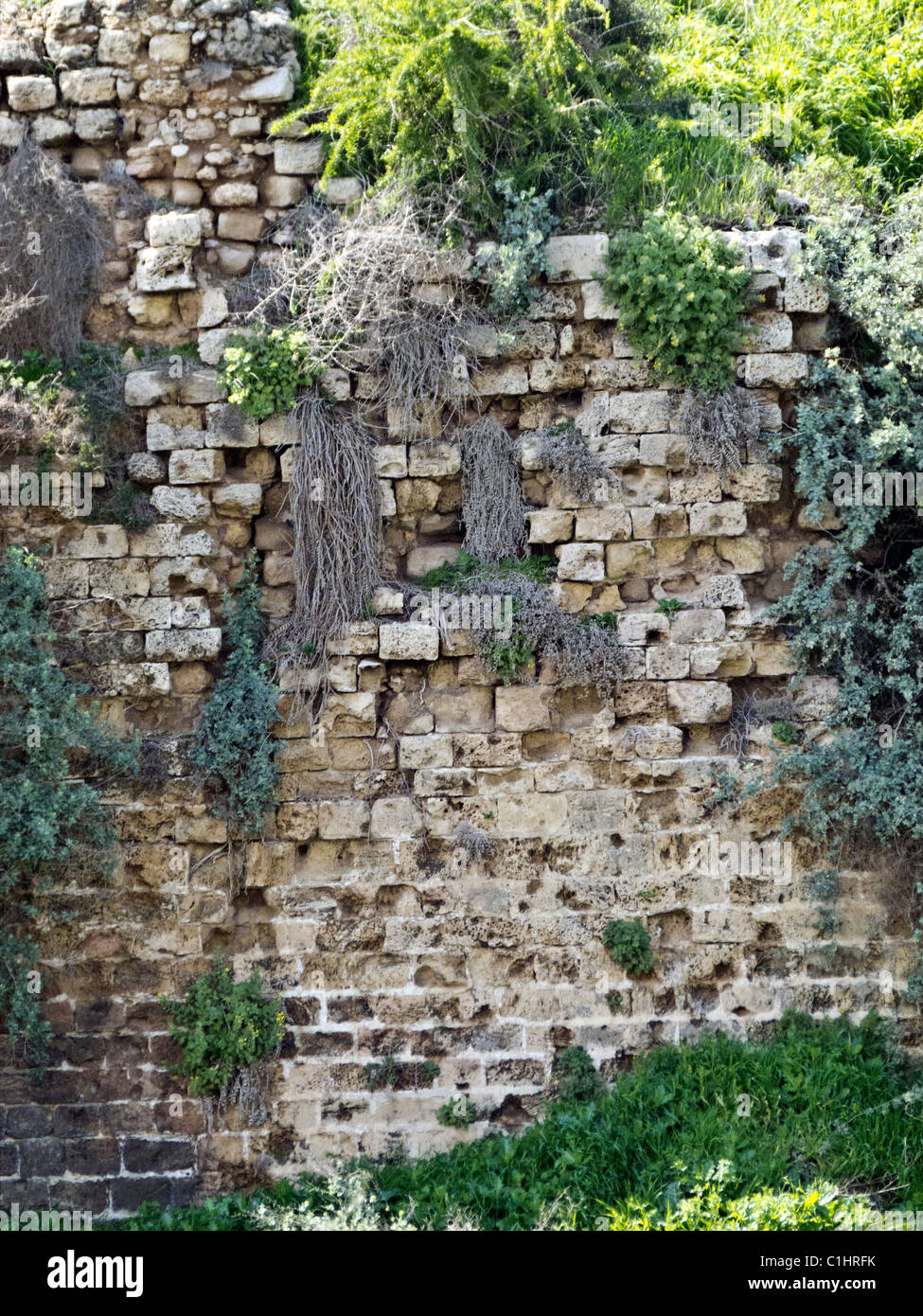 Arsuf,Apollonia ,Apollonia National Park,Israel, view of the dry moat ...
