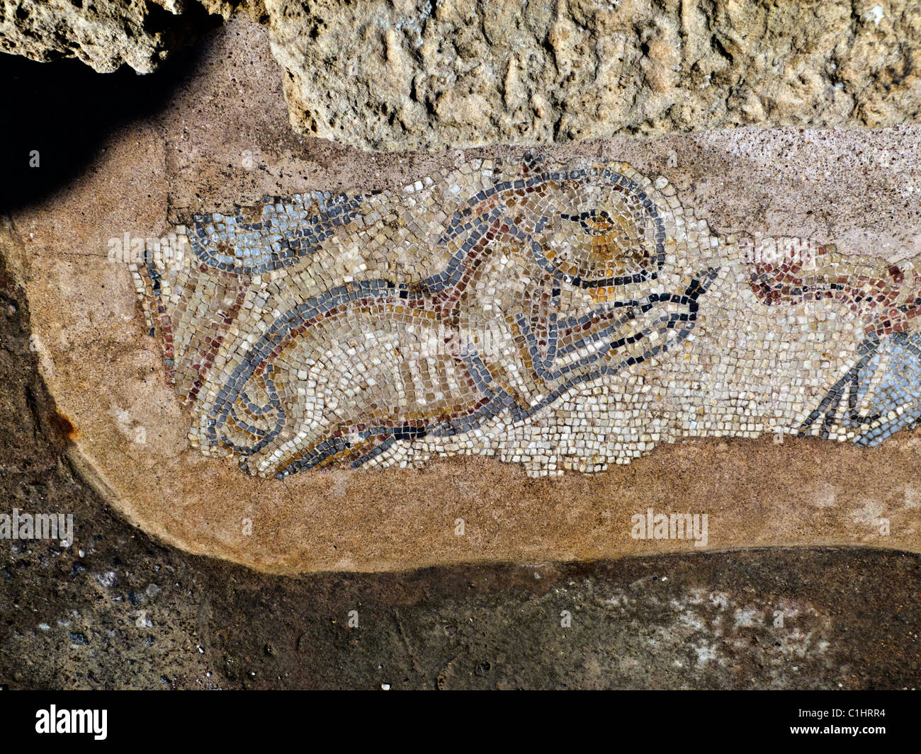 Caesarea ,Caesarea Maritima,Roman mosaics Stock Photo - Alamy