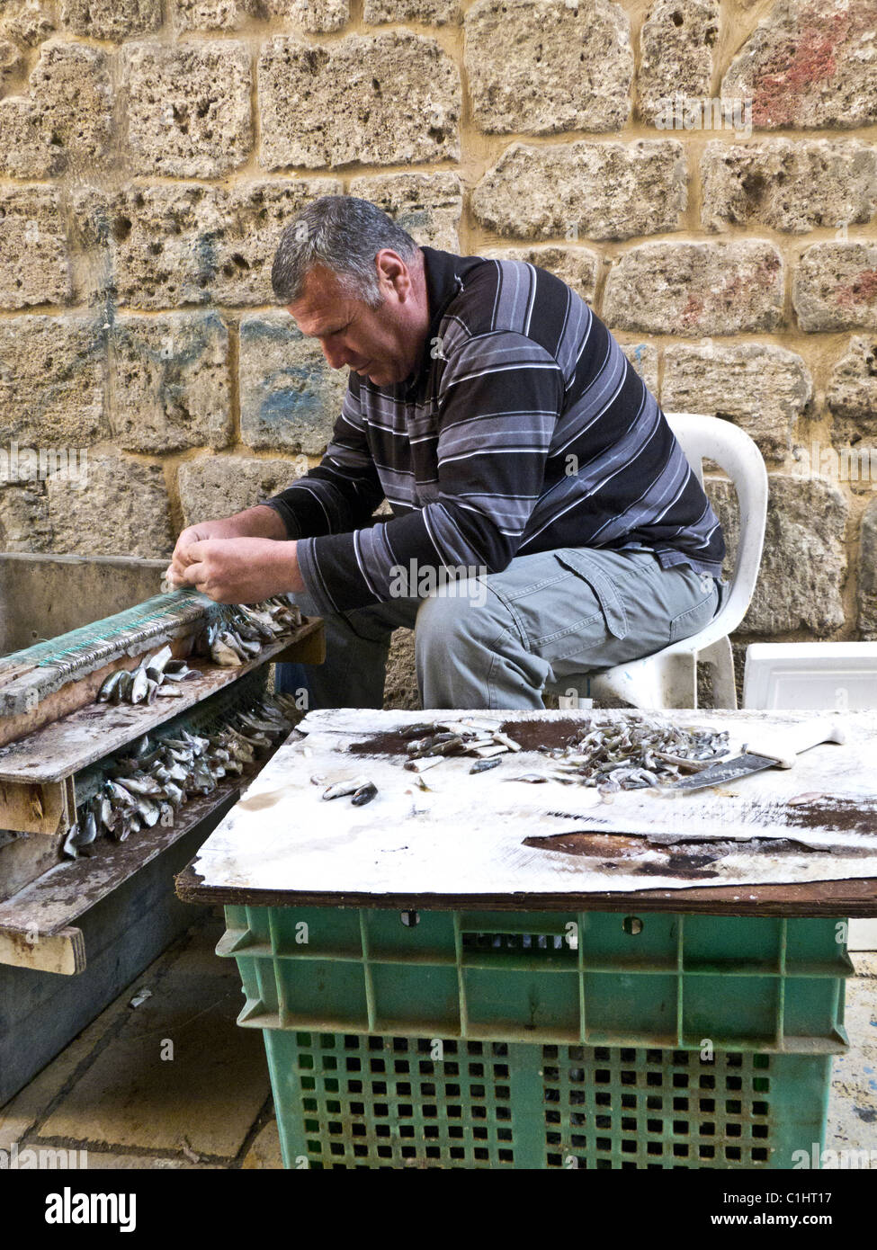 Akko ,Israel,fisherman baiting next catch Stock Photo - Alamy