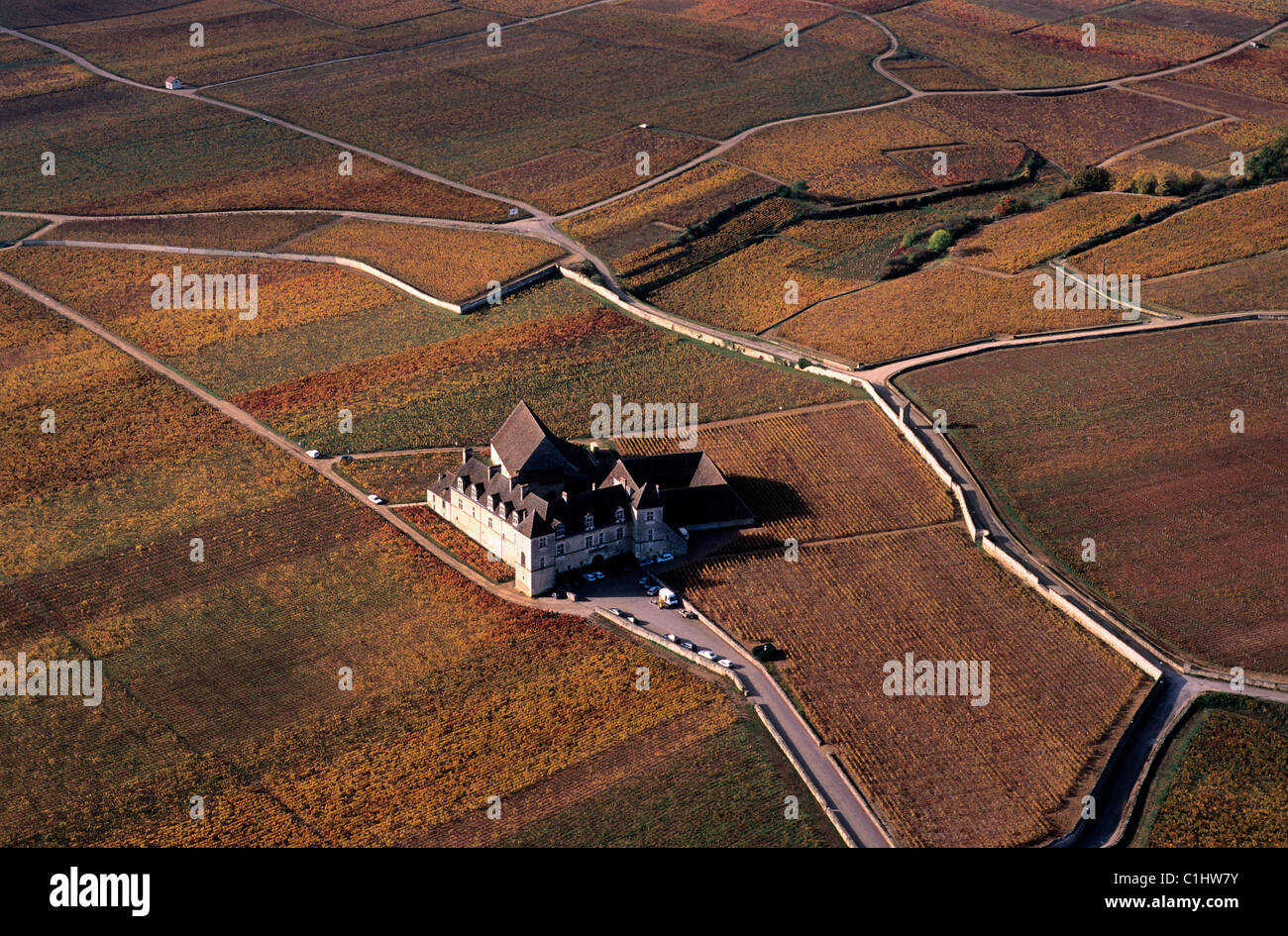 France, Cote d'Or, the Clos de Vougeot property in the middle of its ...