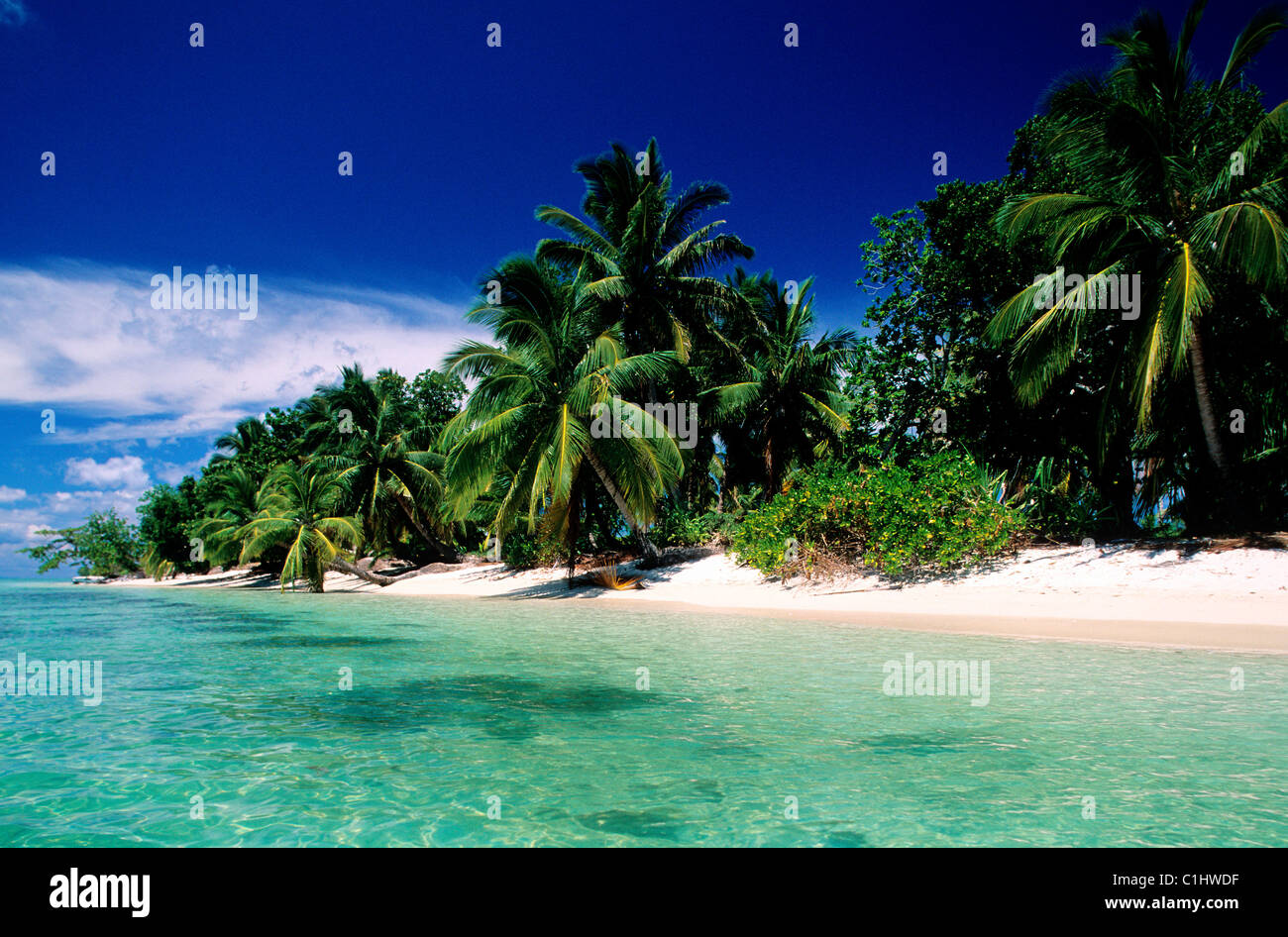 Madagascar, East coast, beside the Sainte Marie Island (Nosy Boraha ...