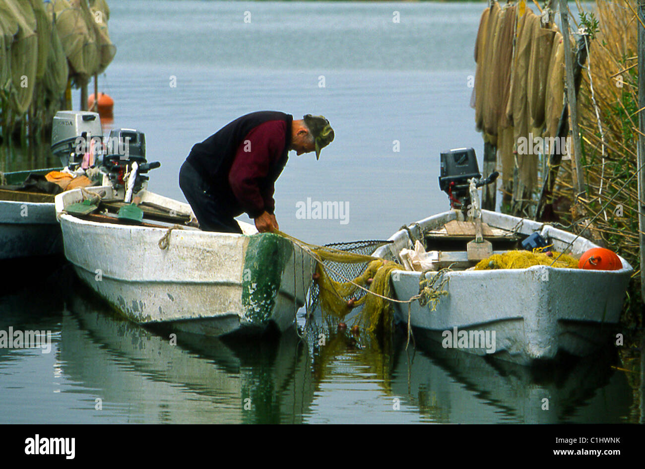 Ancient Greek Fish Stock Photos & Ancient Greek Fish Stock Images - Alamy