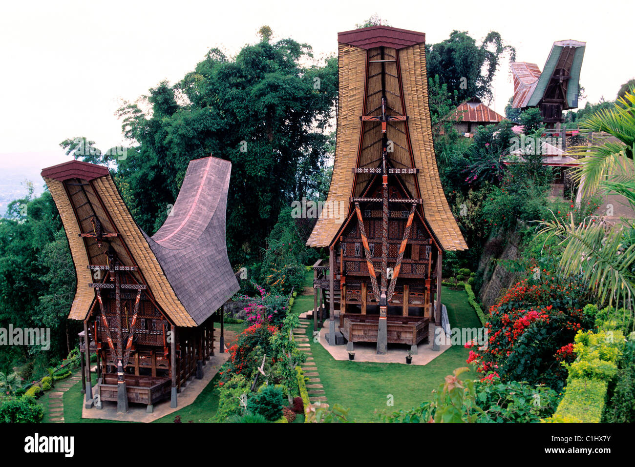 Indonesia, Sulawesi, typical toraja houses Stock Photo - Alamy