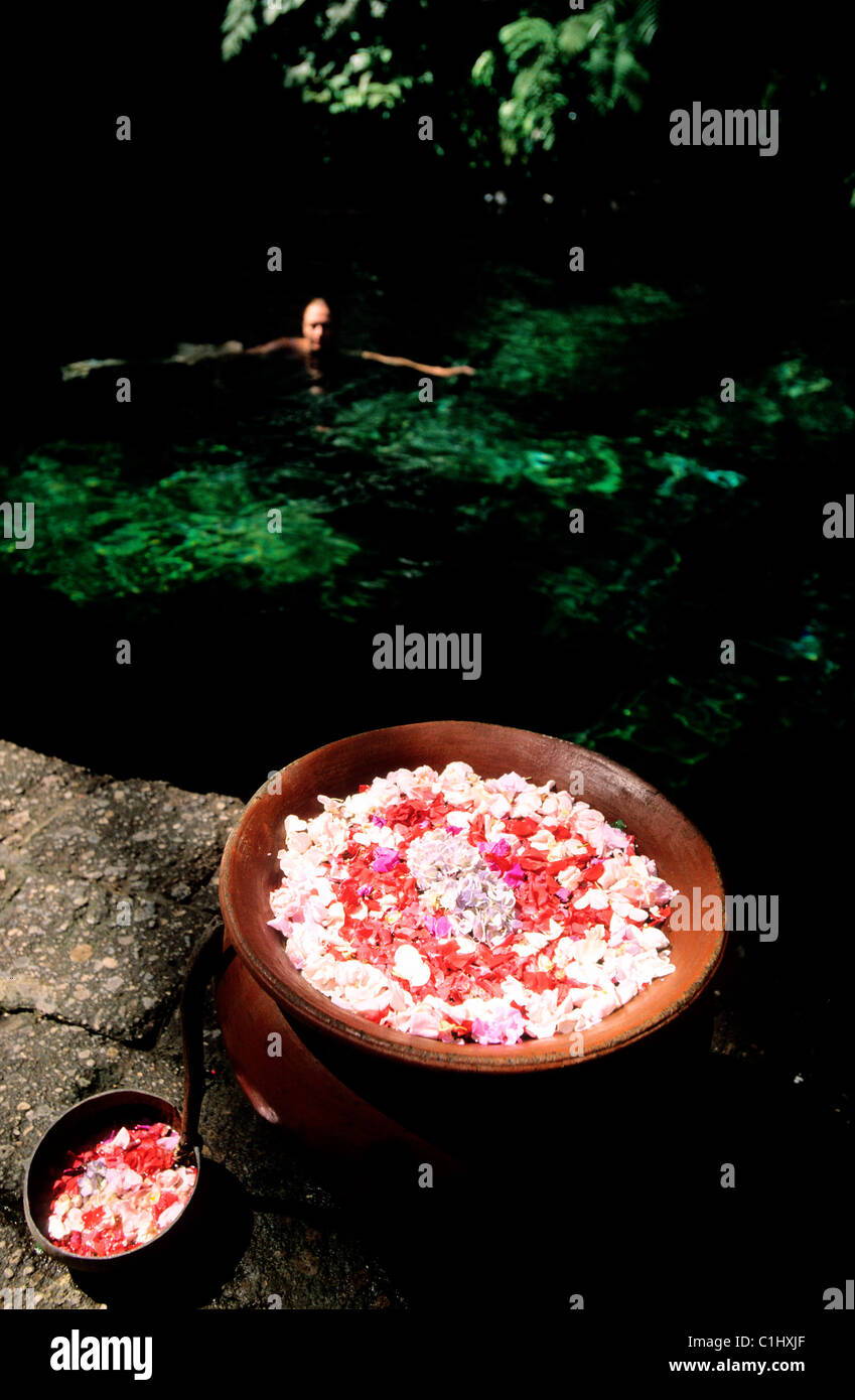 Indonesia, Bali, close to Ubud, hotel Begawan Giri, Spa La Source Stock ...