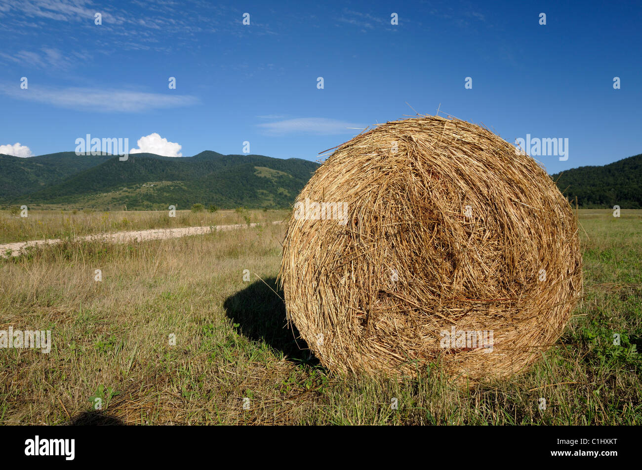 Open hay field hi-res stock photography and images - Alamy