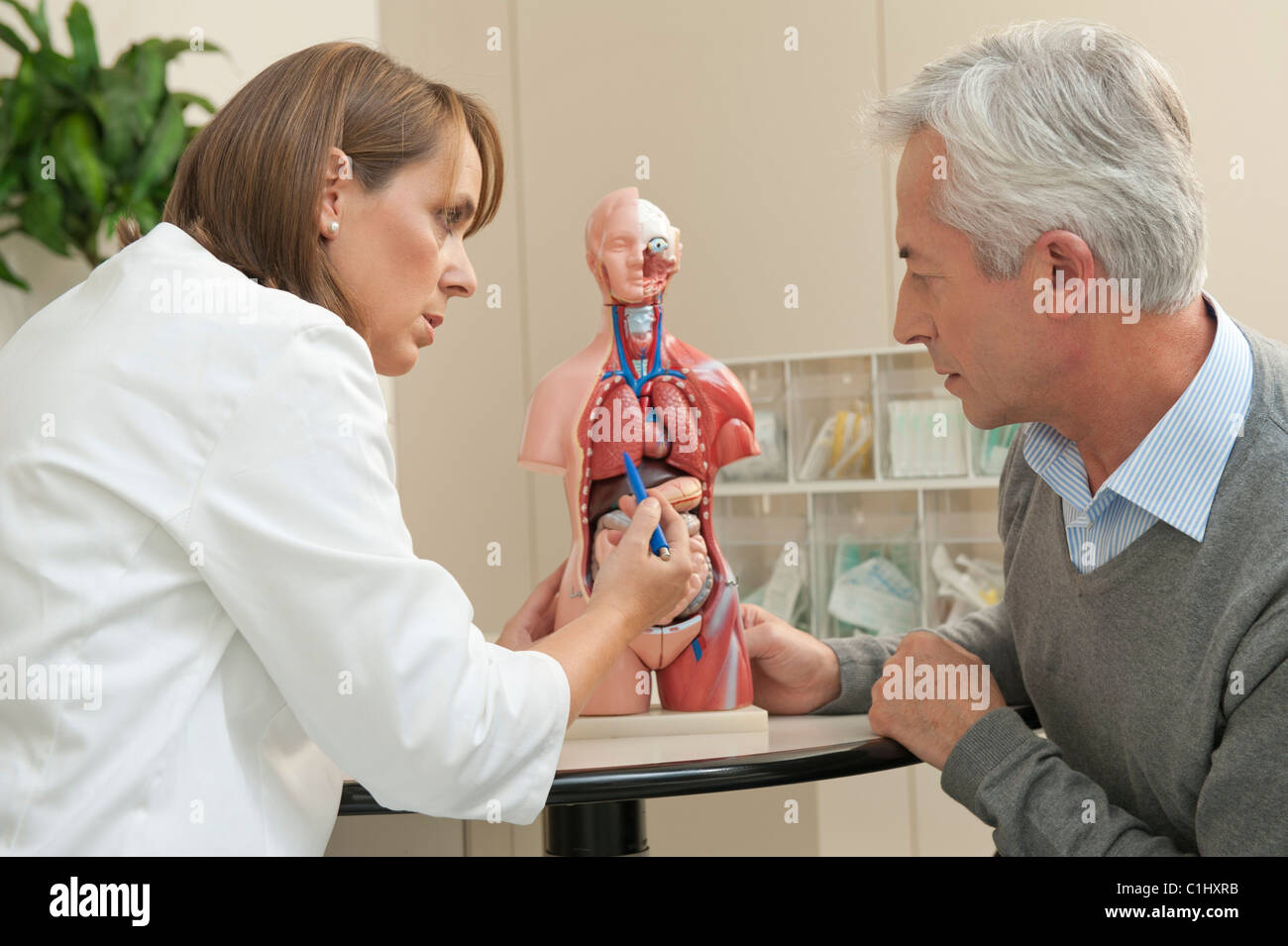 Female doctor and patient talking at anatomic model Stock Photo - Alamy