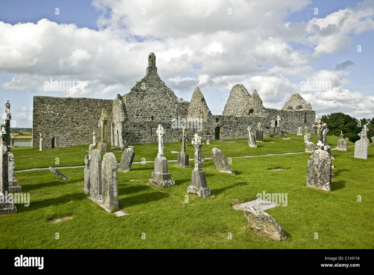 Shannon cemetery hi-res stock photography and images - Alamy