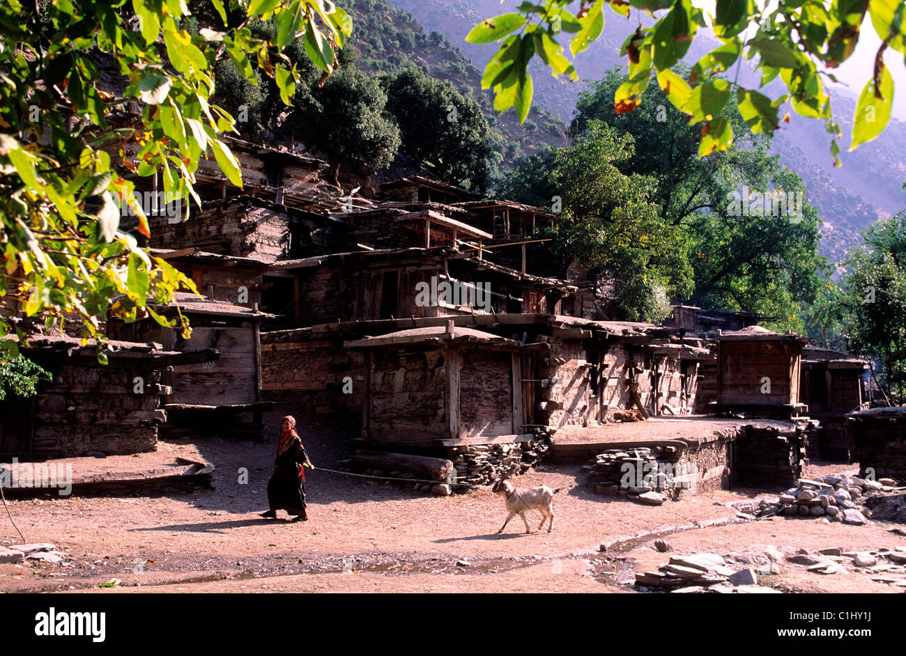 Pakistan, northern area, the Kalash country, Rambor village Stock Photo ...