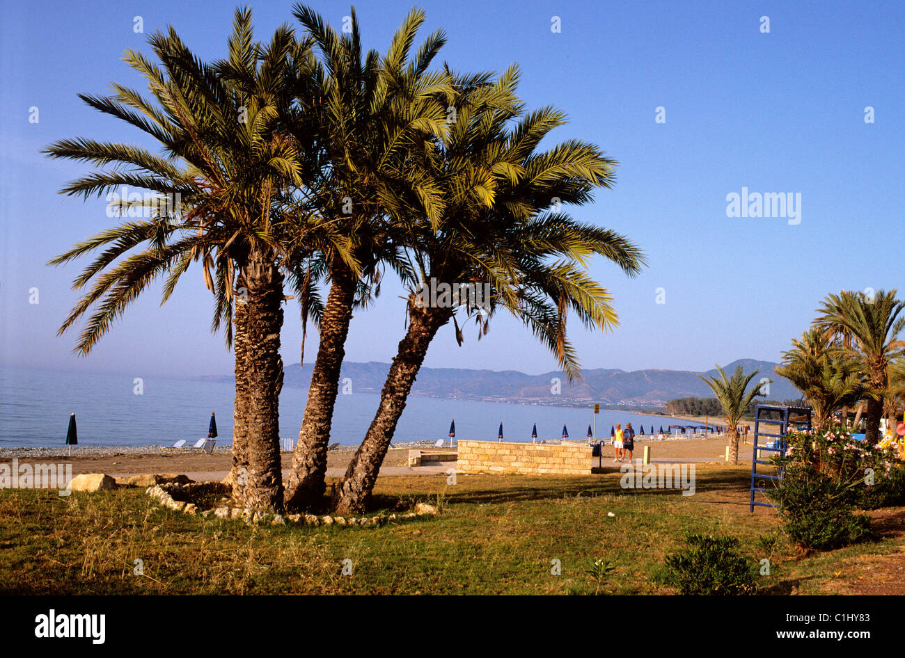 Cyprus, Larnaca, the beach along the Palm trees promenade (Phinikoudes ...