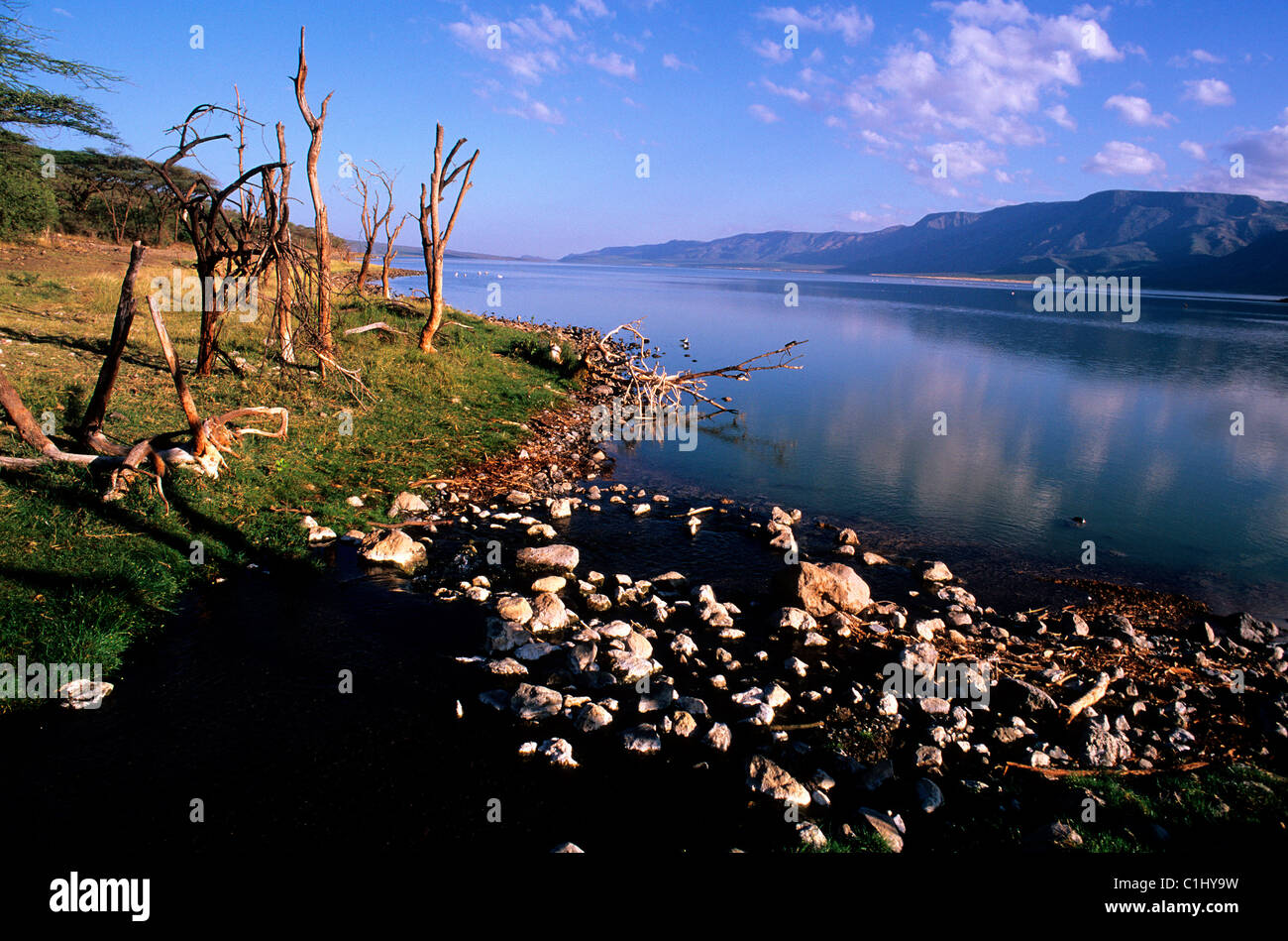Kenya, Rift valley, lake Bogoria reserve Stock Photo - Alamy