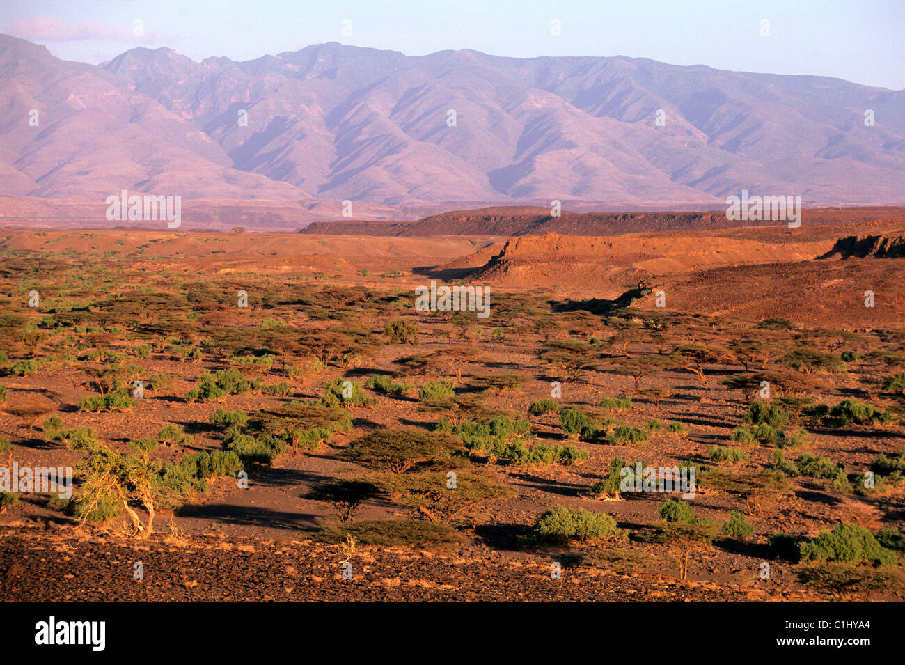 Kenya, Rift valley, volcanic landscape around the Turkana lake Stock ...
