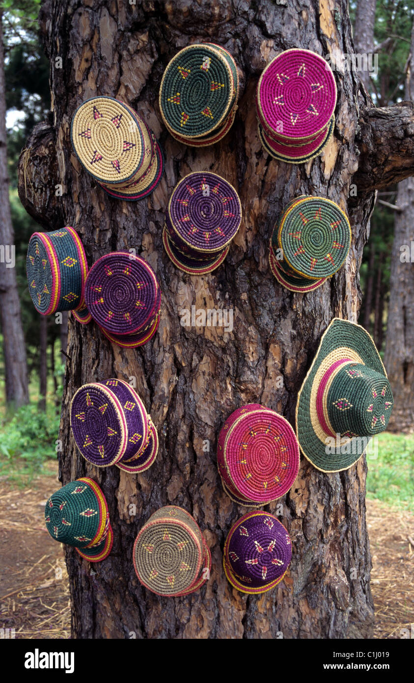 Raffia madagascar hi-res stock photography and images - Alamy