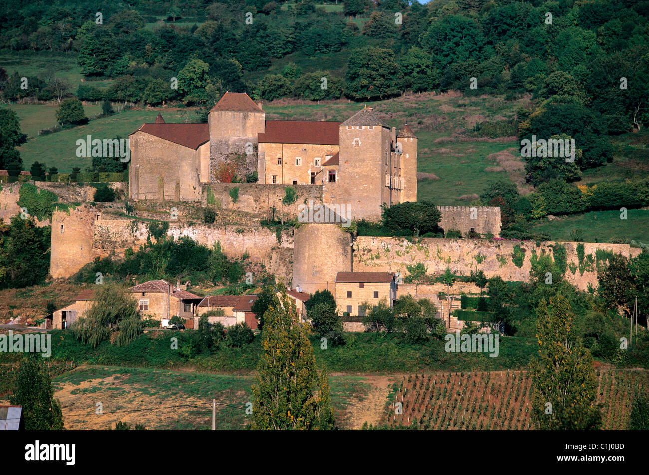 France, Saone et Loire, Maconnais area, Berze le Chatel, feudal castle ...