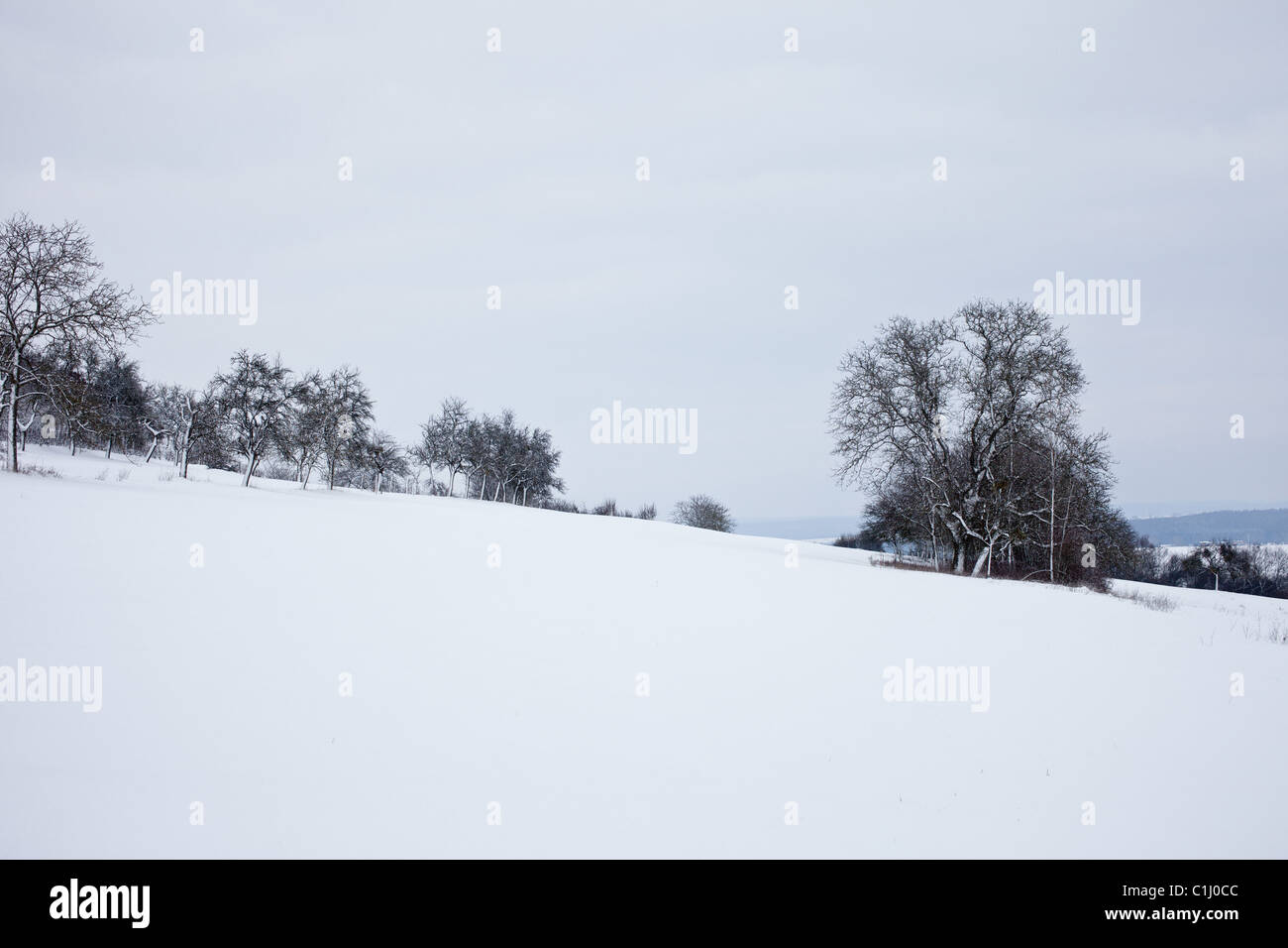 wintry landscape scenery Stock Photo - Alamy