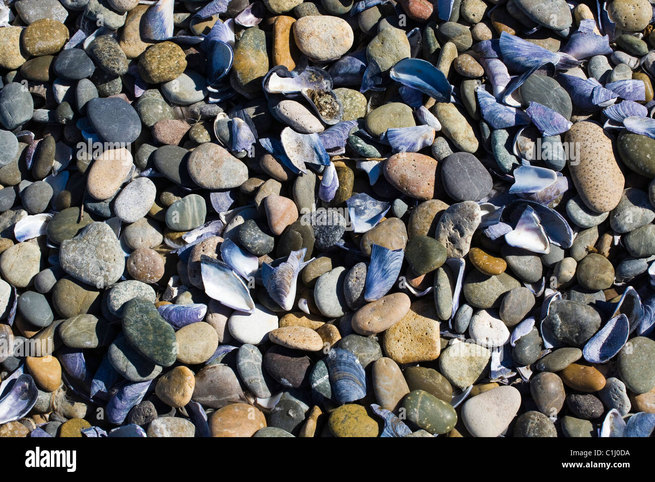 Shingles pebble hi-res stock photography and images - Alamy