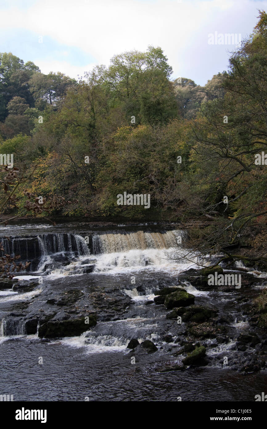 Aysgarth Water Falls in the Yorkshire Dales Stock Photo - Alamy