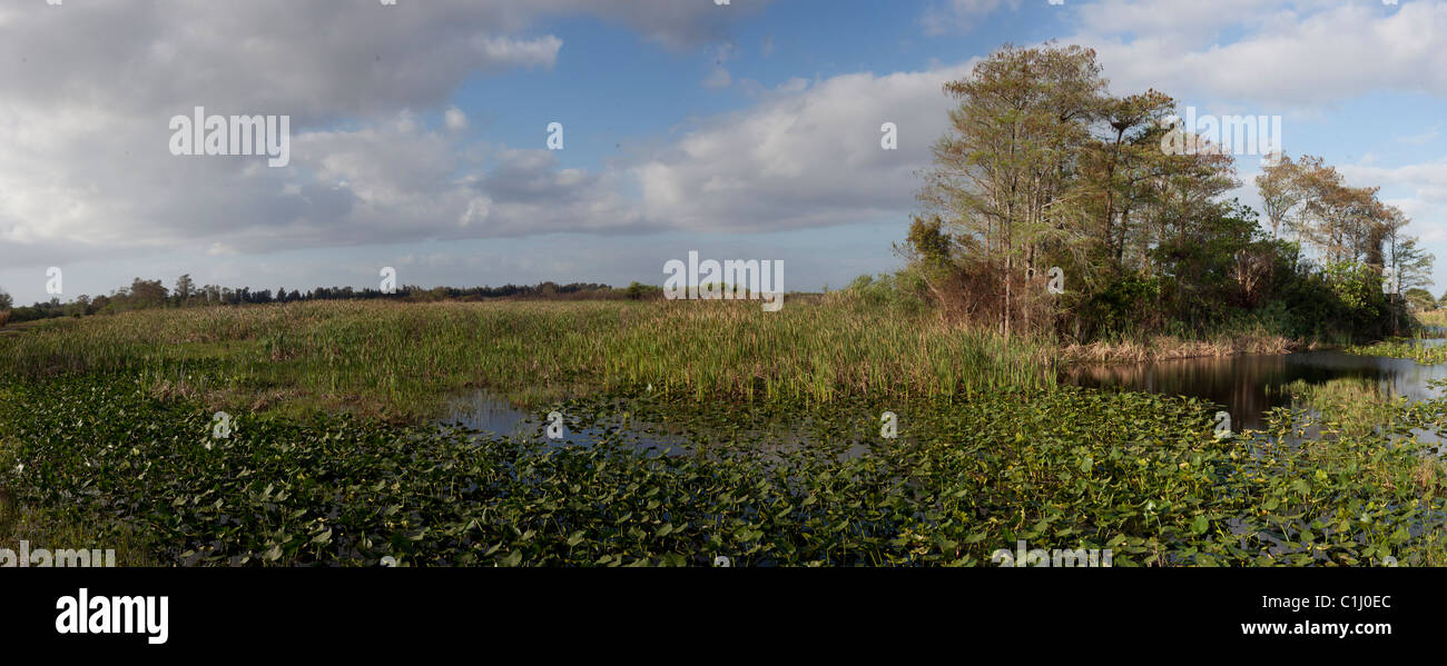 Early morning in Everglades National Park in Florida Stock Photo - Alamy