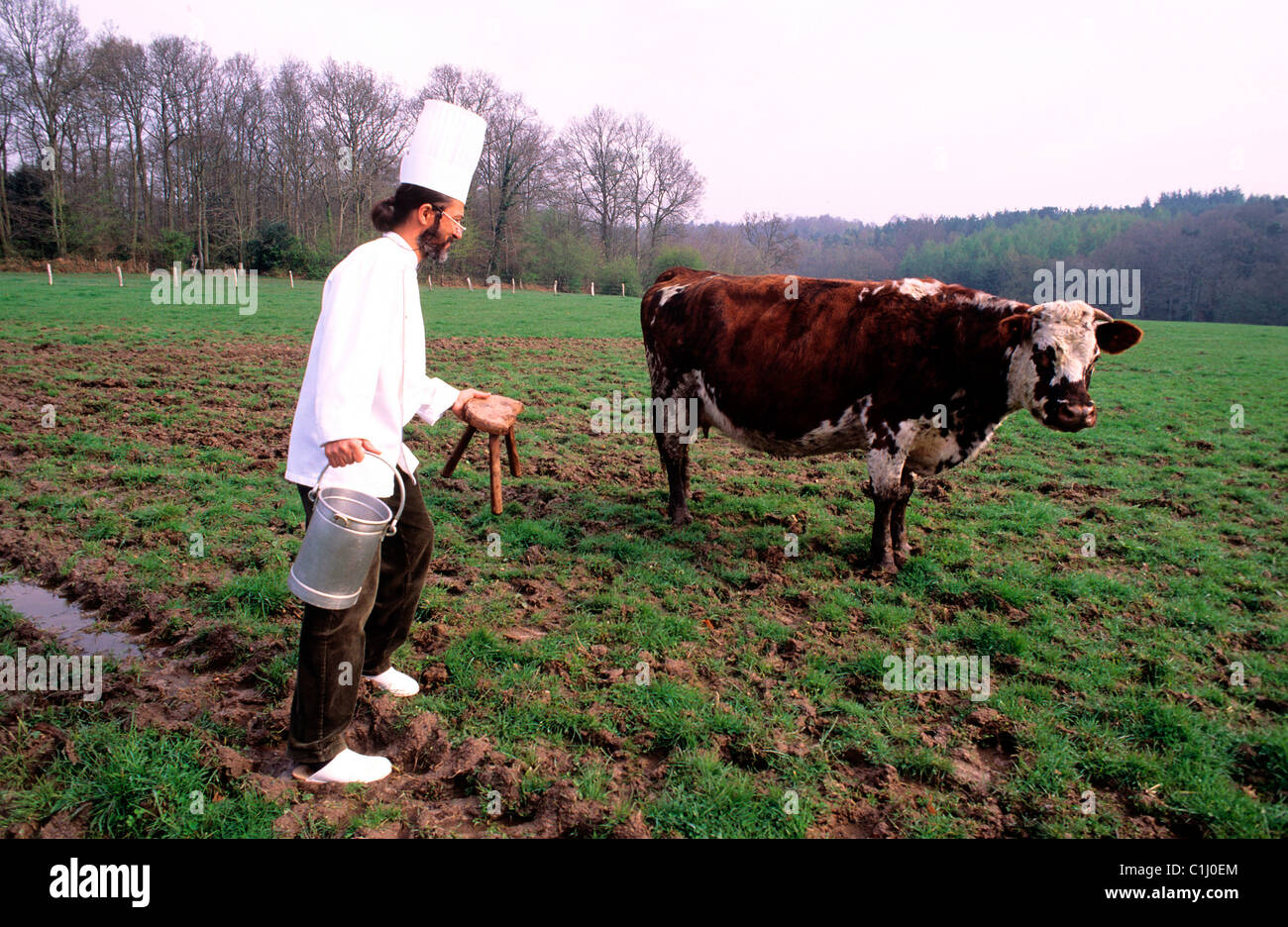 France, Eure, Pont Audemer, cook of the restaurant Petit coq aux champs ...