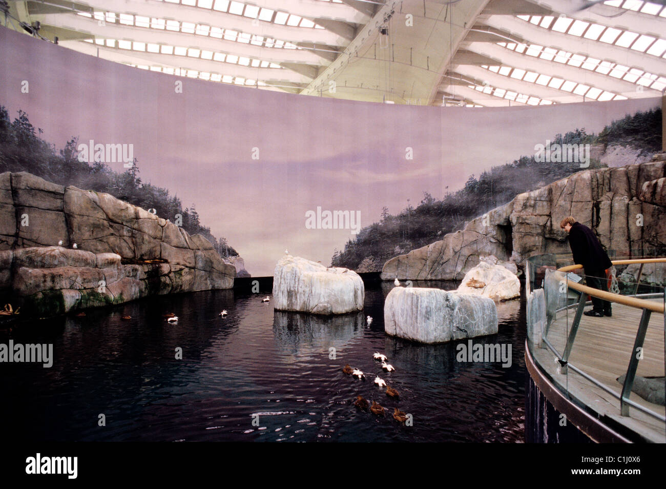 Canada, Quebec Province, Montreal, Biodome, Environment Museum, Arctic ...
