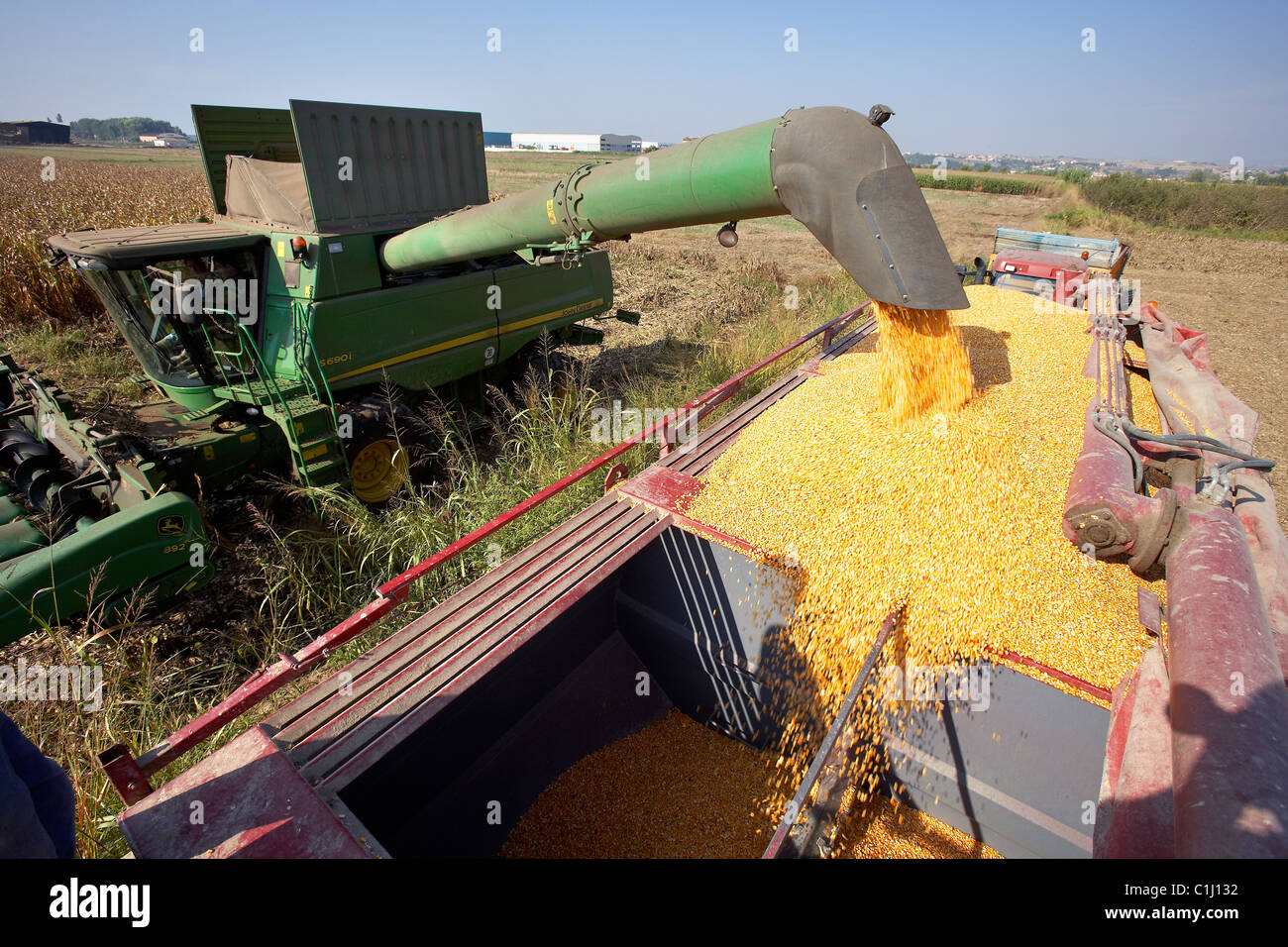 Combine harvester on field of corn unloading maize on a tow Stock Photo ...