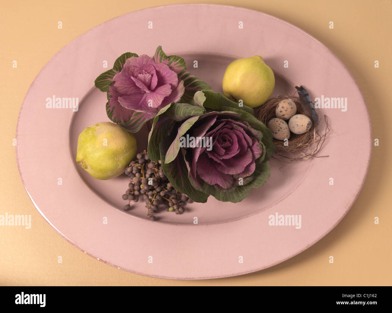 Quince, Flowering Kale, Quail Eggs and Berries Stock Photo - Alamy
