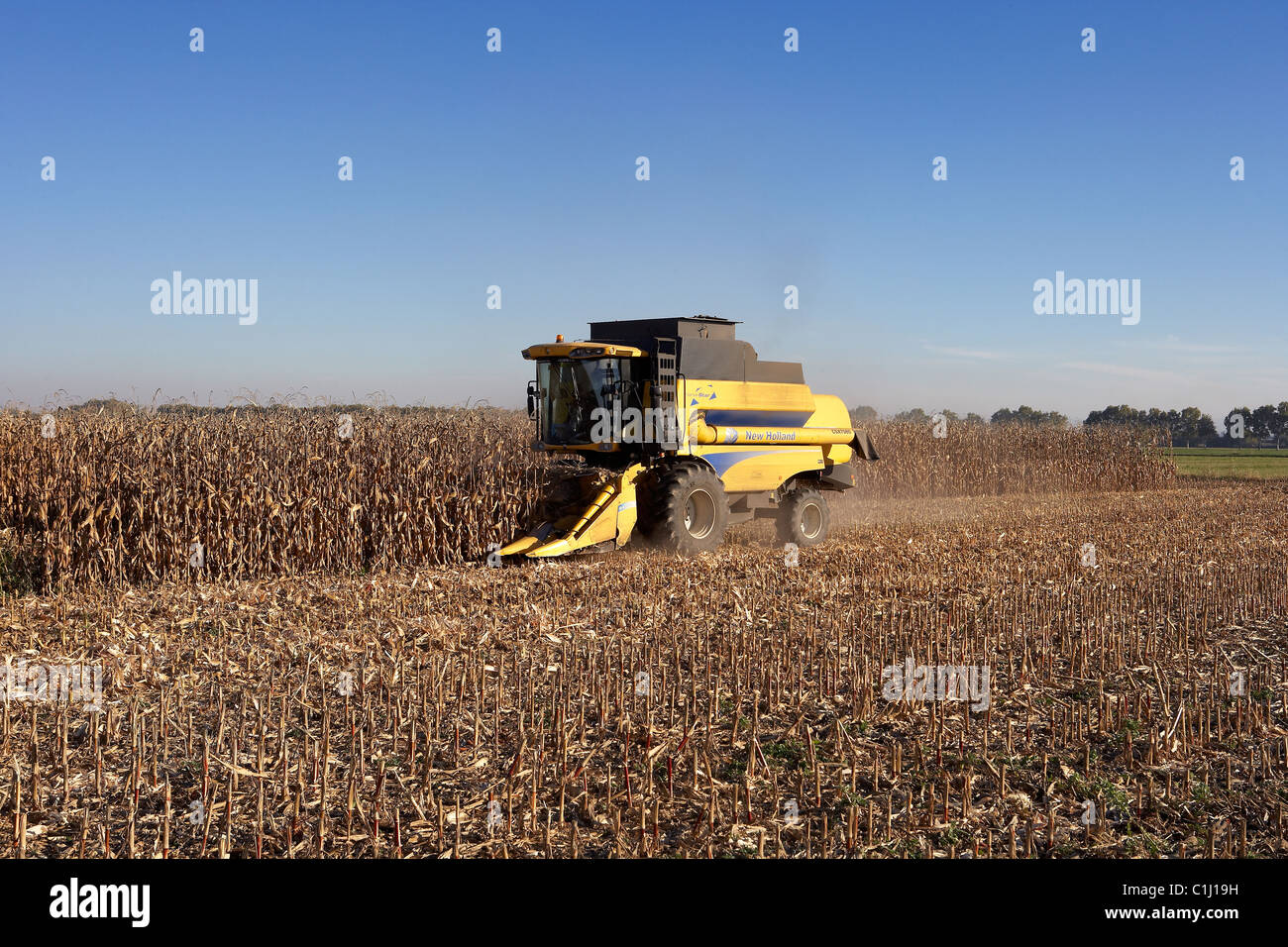 Harvester on corn field hi-res stock photography and images - Alamy