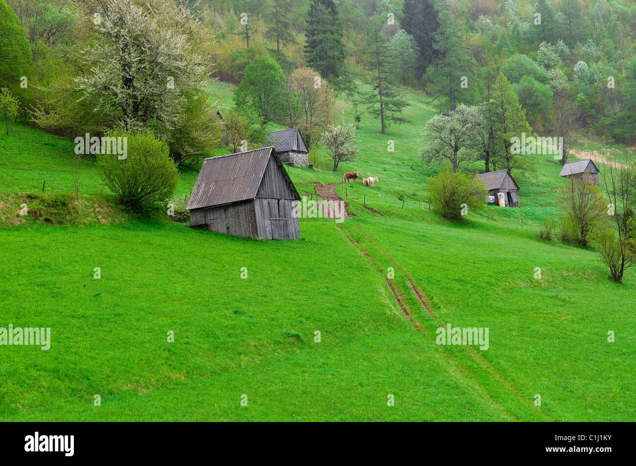 Soca Valley, Slovenia Stock Photo - Alamy