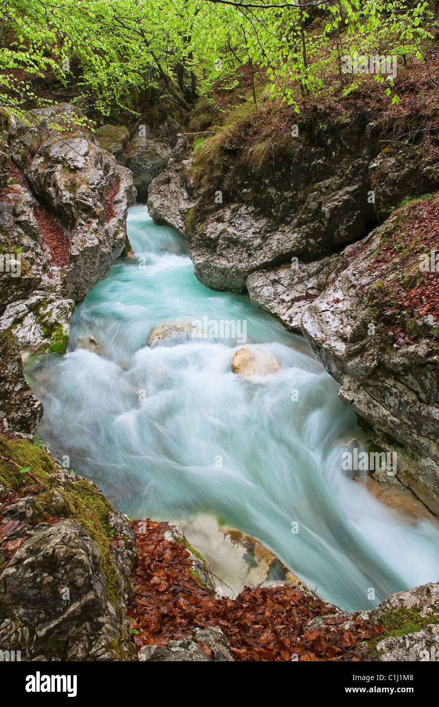 Soca River, Slovenia Stock Photo - Alamy
