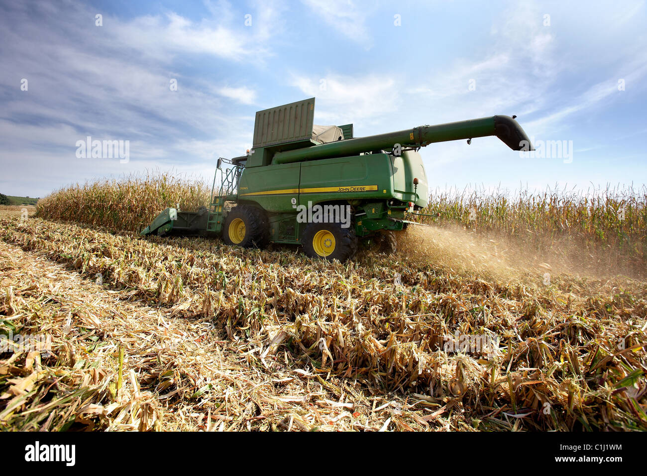 Combine harvester on field of corn Stock Photo - Alamy