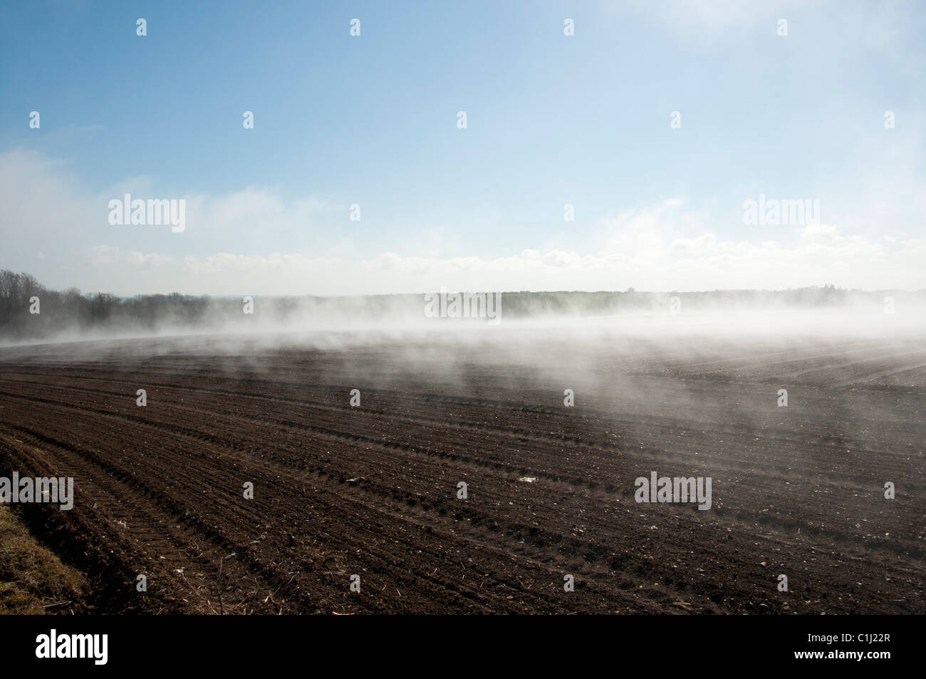 Field early morning hi-res stock photography and images - Alamy