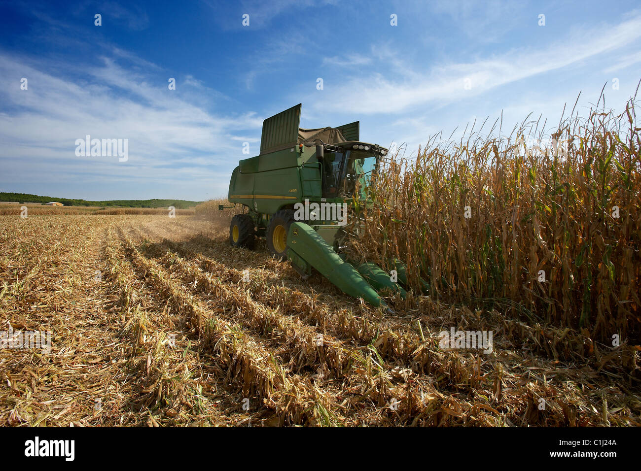 Combine harvester corn hi-res stock photography and images - Alamy