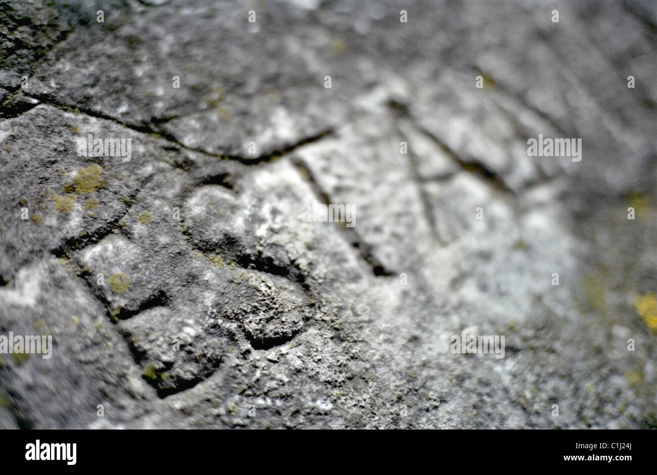 Latin tombstone inscription hi-res stock photography and images - Alamy