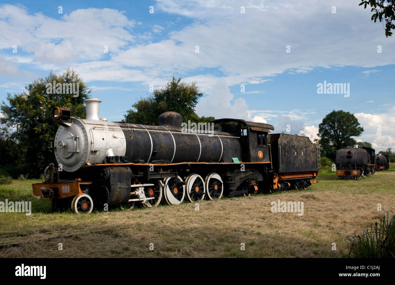 12th class,181,4-8-2,steam locomotive,north british locomotive company ...