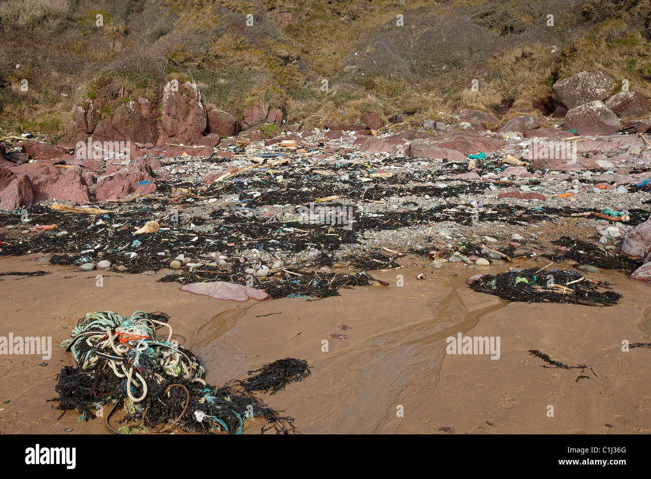 Flotsum and Jetsum, Freshwater West beach, Pembrokeshire, Wales, UK ...