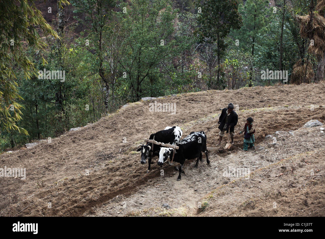 Nepali landscape Nepal Himalaya Stock Photo - Alamy