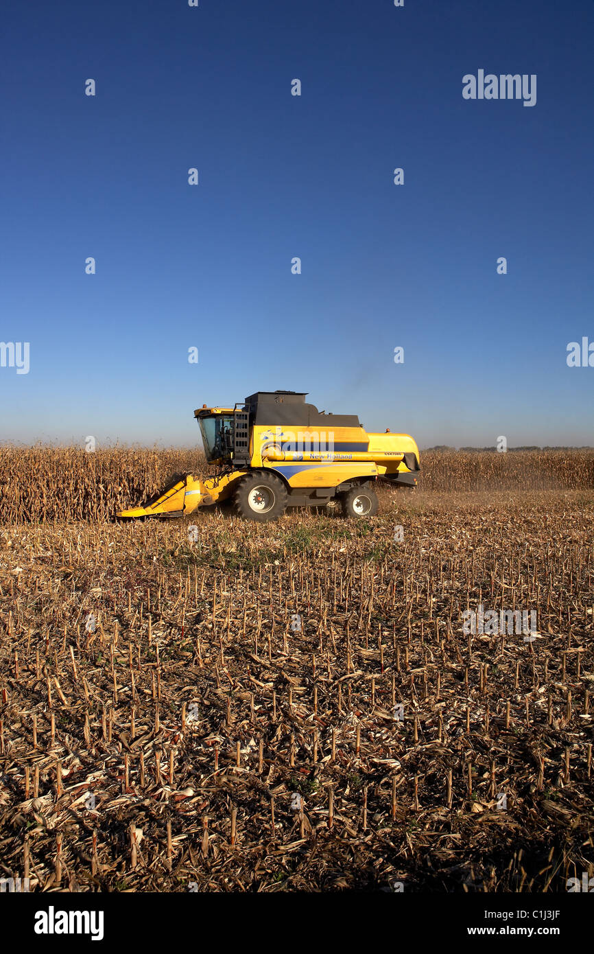 Combine harvester corn hi-res stock photography and images - Alamy
