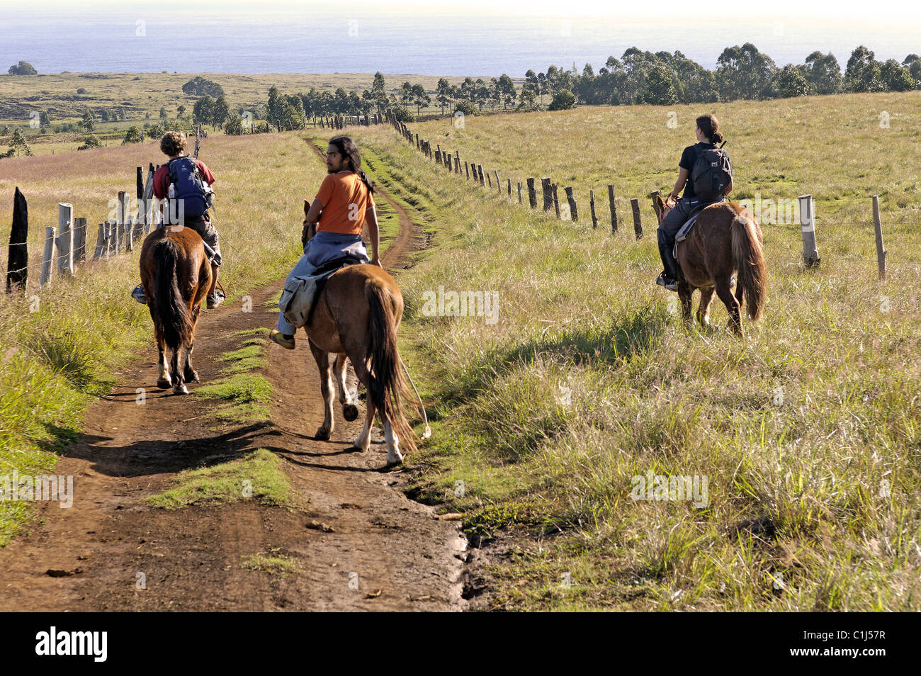 Chile Easter Island horseback riding on mount Terevaka the highest ...