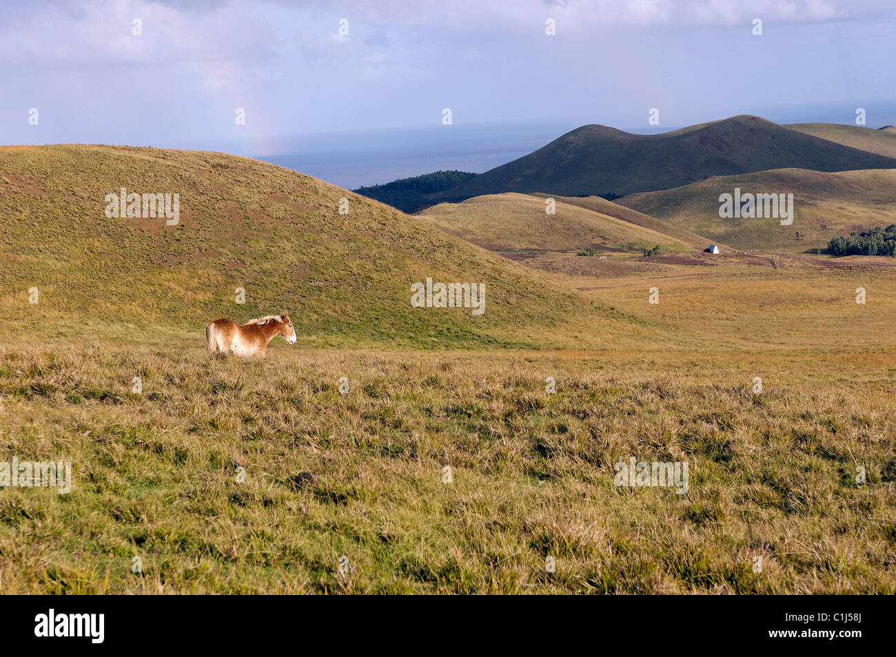 Chile Easter Island mount Terevaka the highest point on the Island lies ...