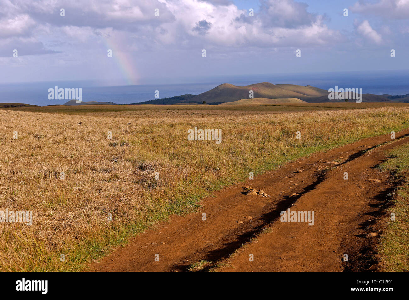 Chile Easter Island mount Terevaka the highest point on the Island lies ...
