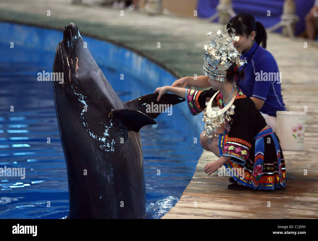 Artistic sea-lion This clever creature is the Picasso of the aquatic ...