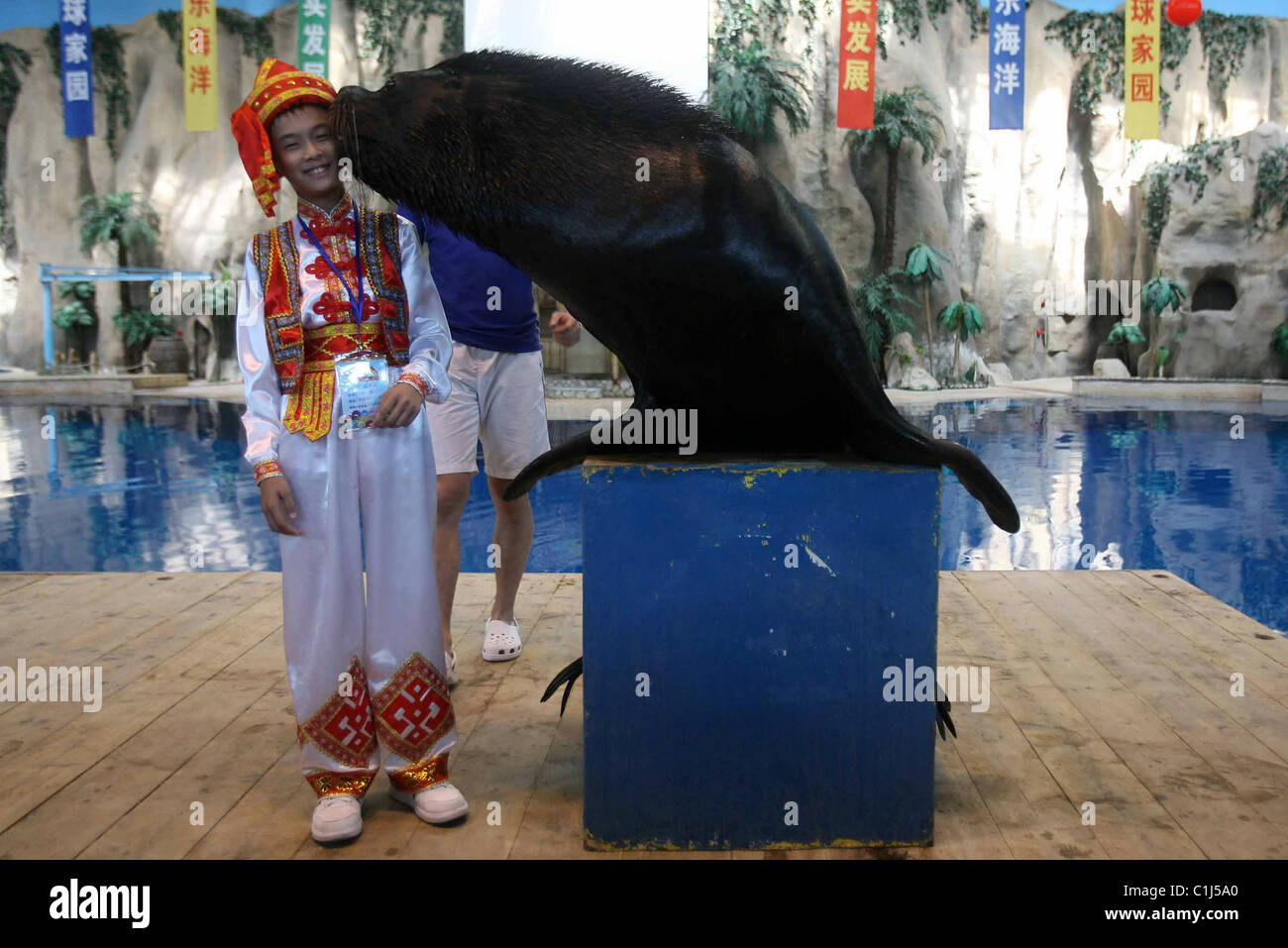 Artistic sea-lion This clever creature is the Picasso of the aquatic ...