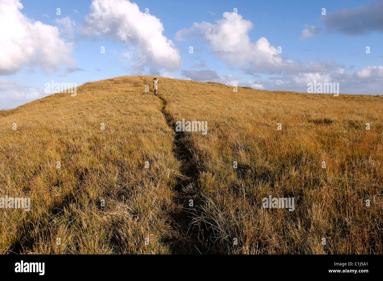 Chile Easter Island mount Terevaka the highest point on the Island lies ...