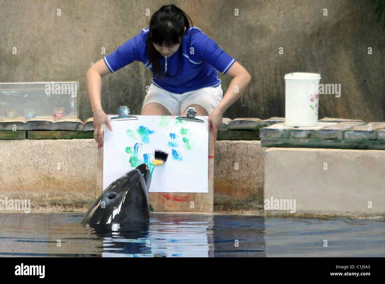 Artistic sea-lion This clever creature is the Picasso of the aquatic ...
