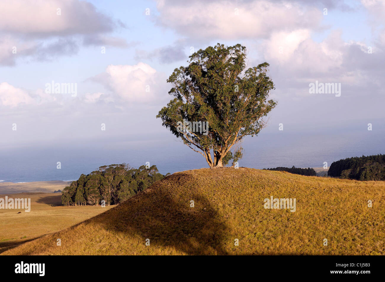 Chile Easter Island mount Terevaka the highest point on the Island lies ...