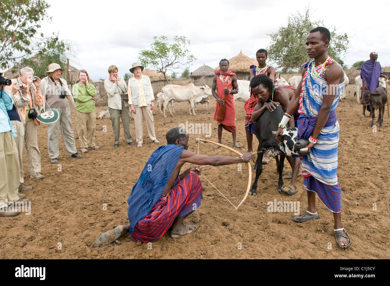 Blood drinking ritual hi-res stock photography and images - Alamy
